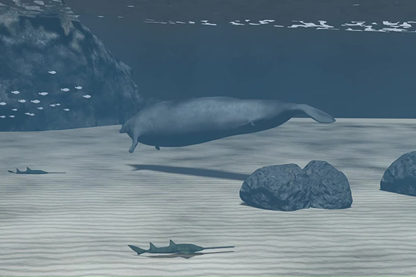 Exhiben restos del “Perucetus colossus”, el animal más pesado en la ...