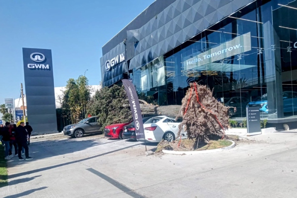 Viento Derriba árboles Y Afecta Espectaculares En Puebla